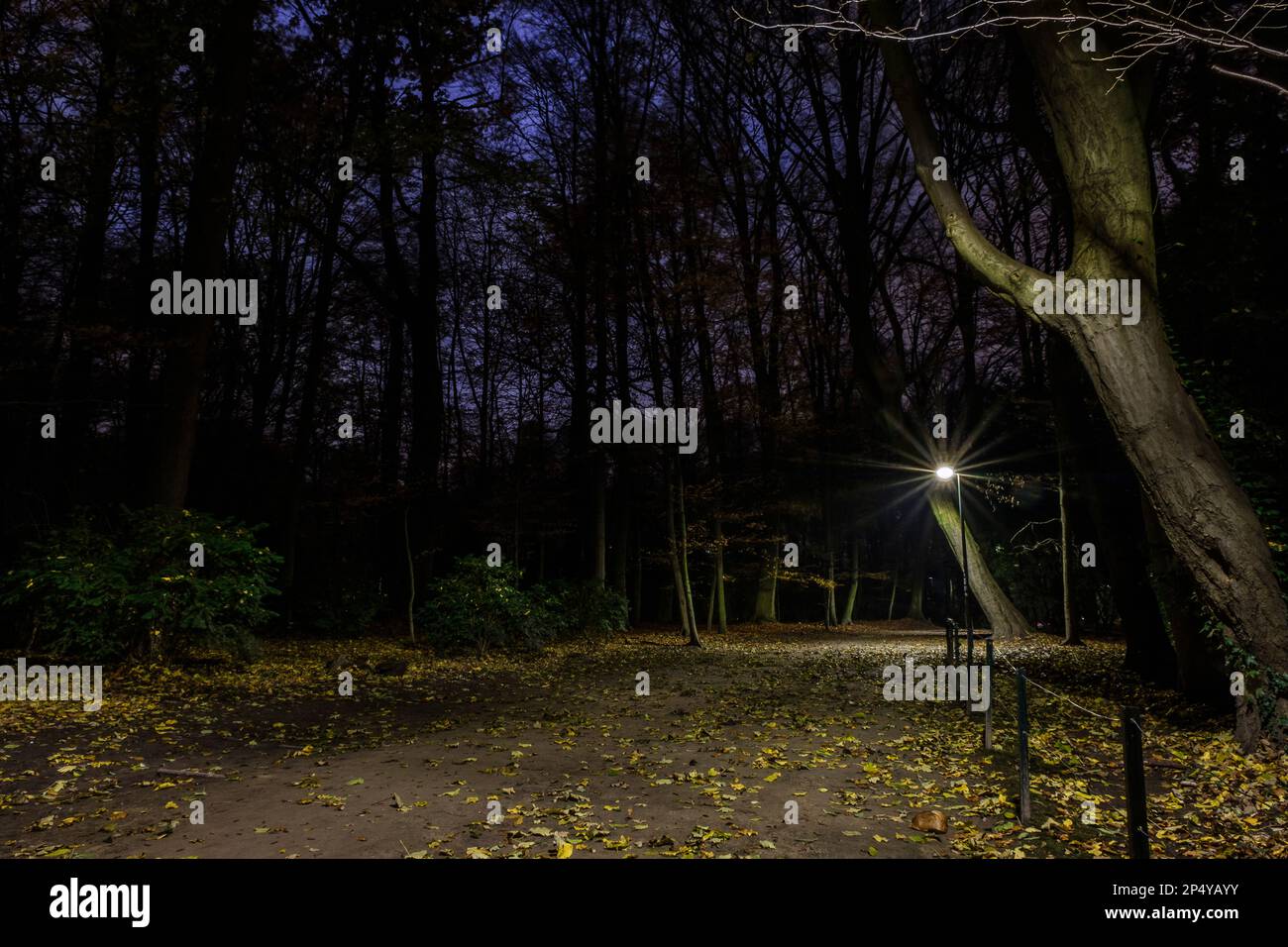 Public park at ninight with a lamp post along the path | Parc public ...