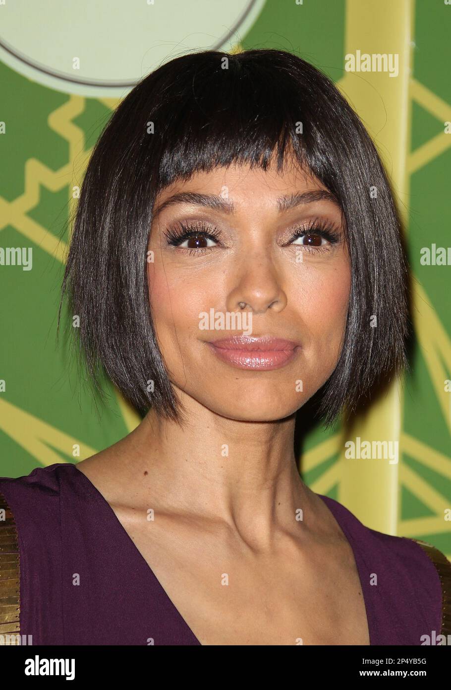 Tamara Taylor arrives at Fox's All-Star Party at Castle Green on ...
