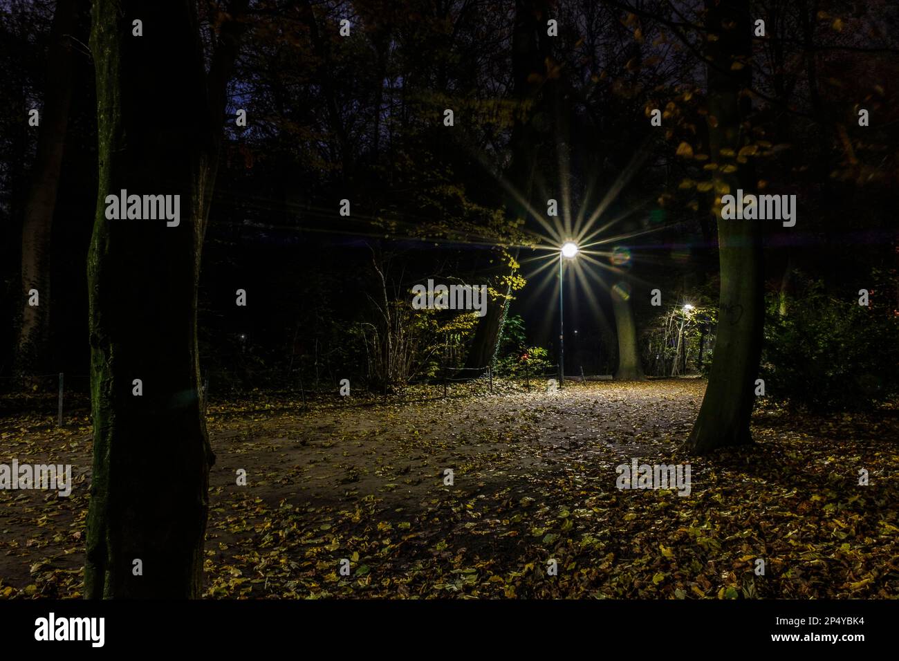 Public park at ninight with a lamp post along the path | Parc public ...