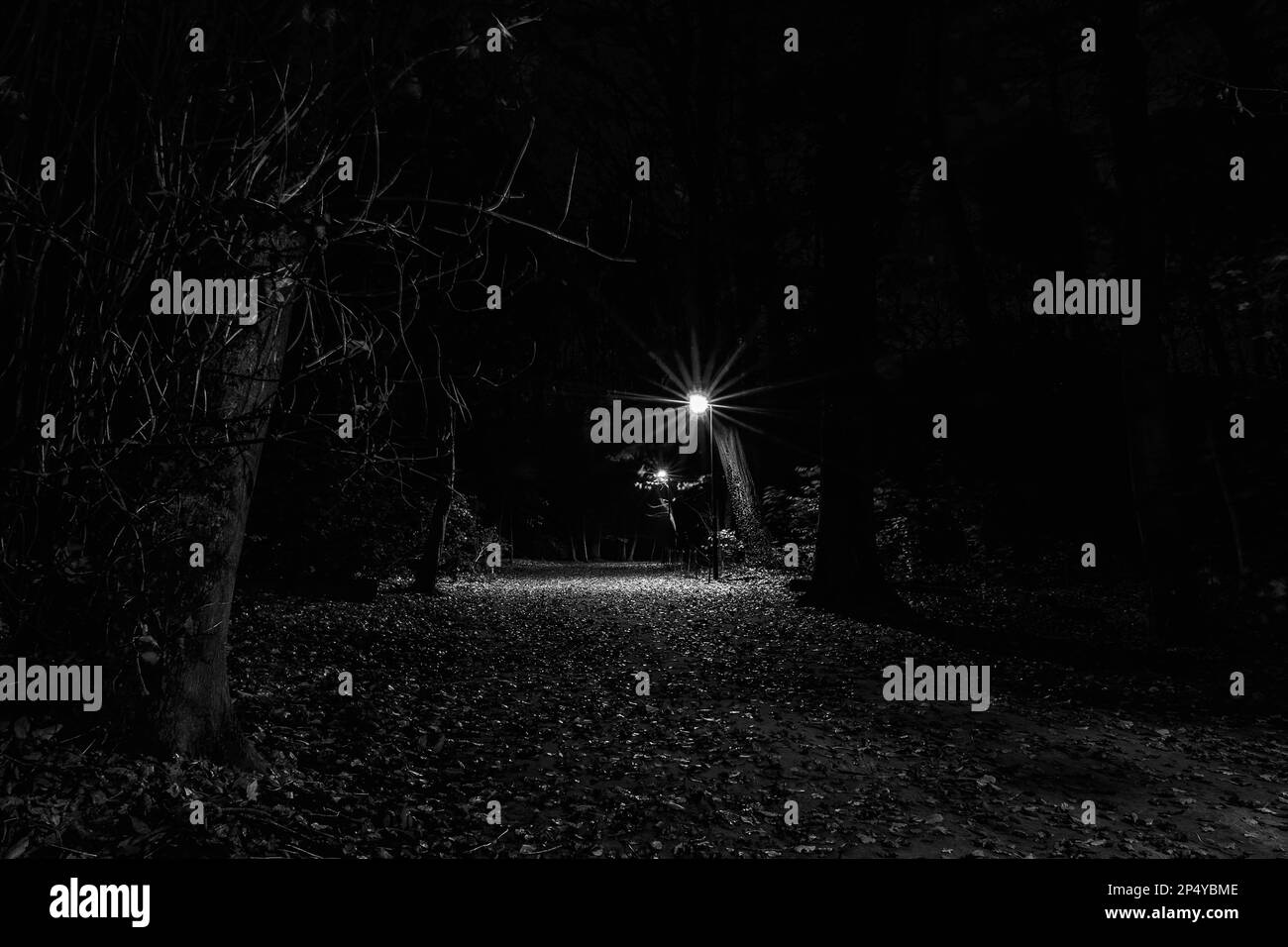 Public park at ninight with a lamp post along the path | Parc public ...