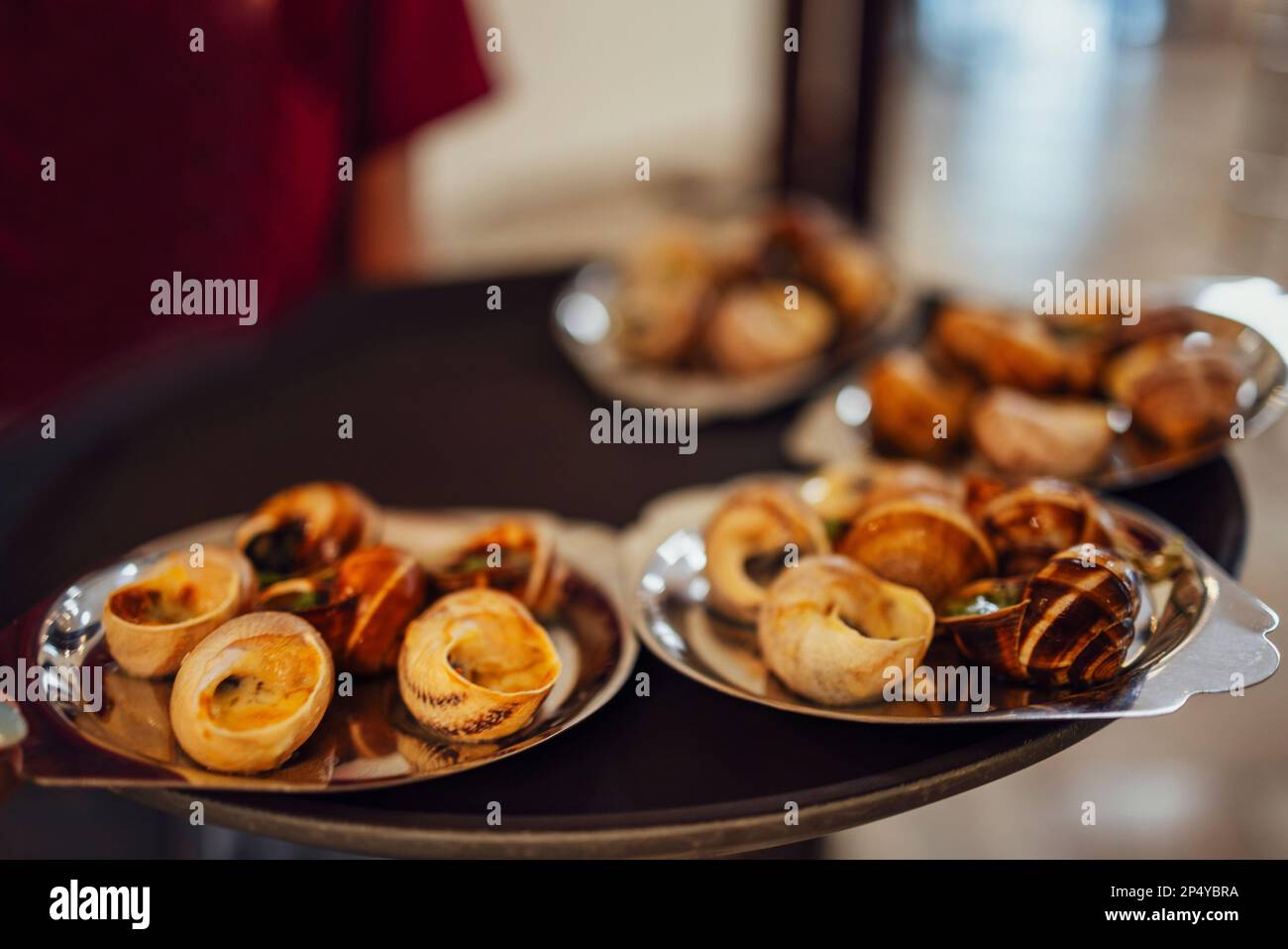 The waiter carries gourmet delicacies on a tray. Four dishes with baked ...