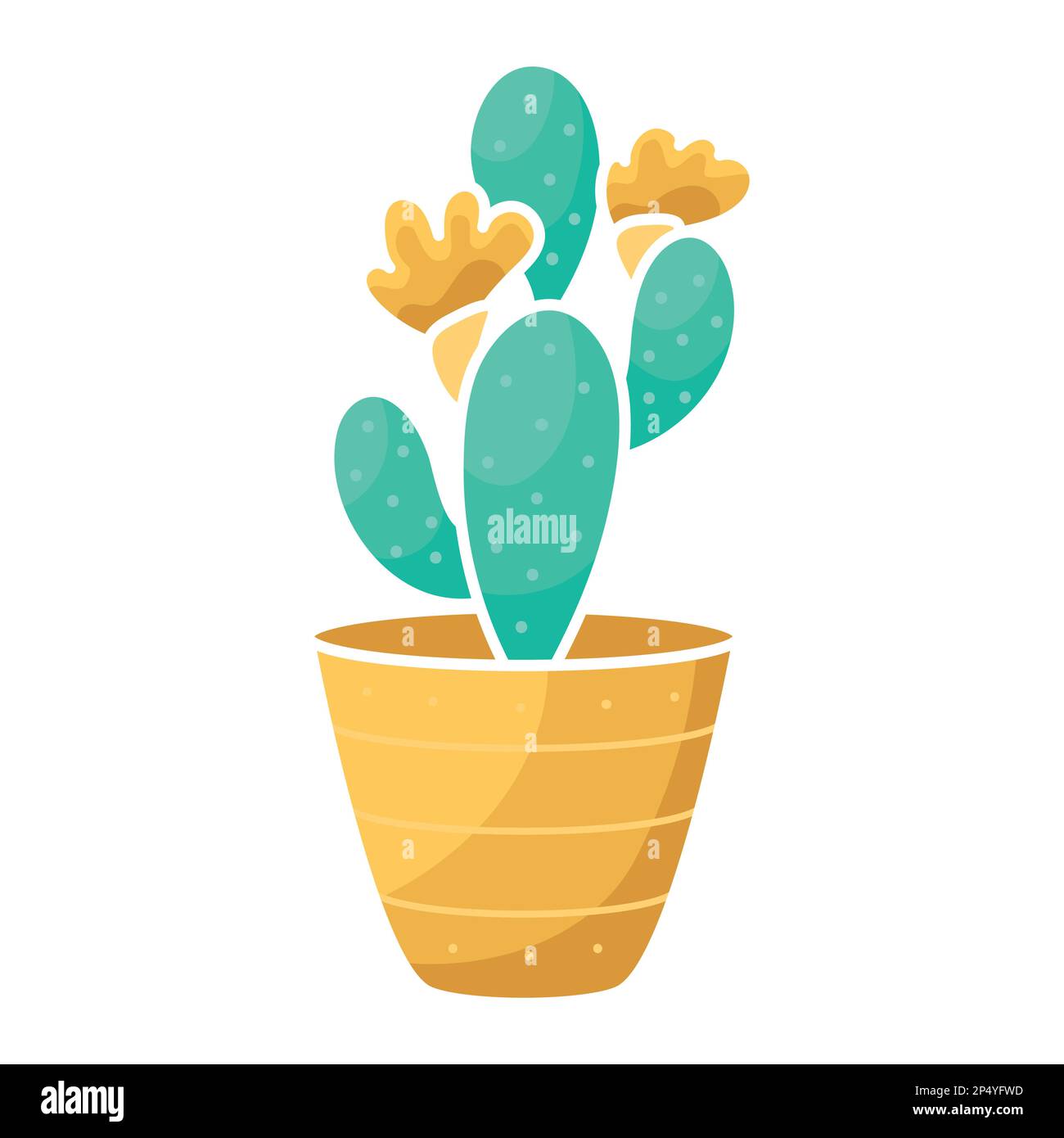 Beautiful blooming cactus. Indoor plant in a pot. Simple minimalistic ...