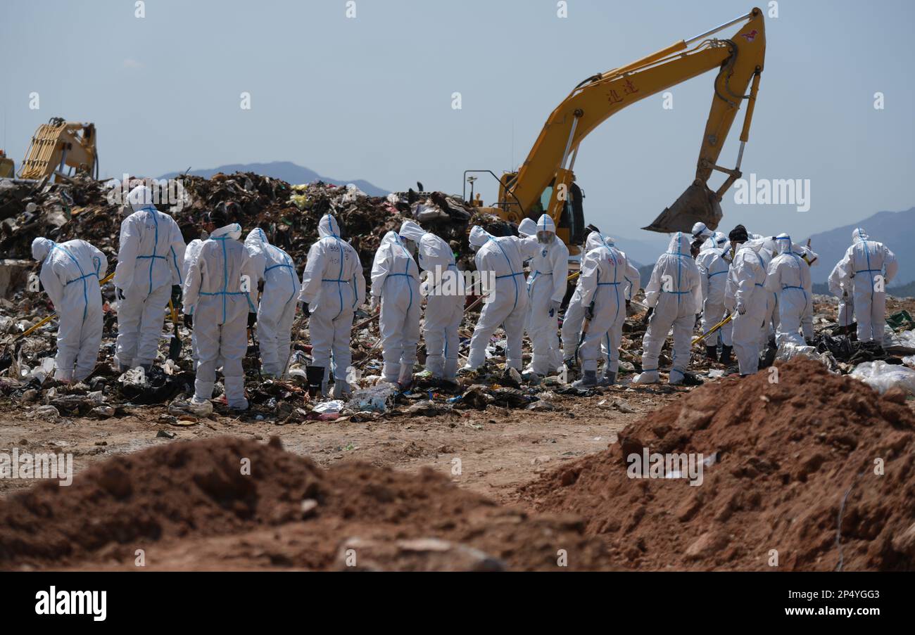 Tai lung fung hi-res stock photography and images - Alamy