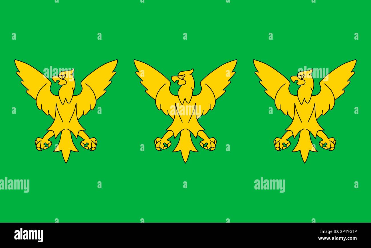 County flag of Caernarfonshire Stock Photo - Alamy