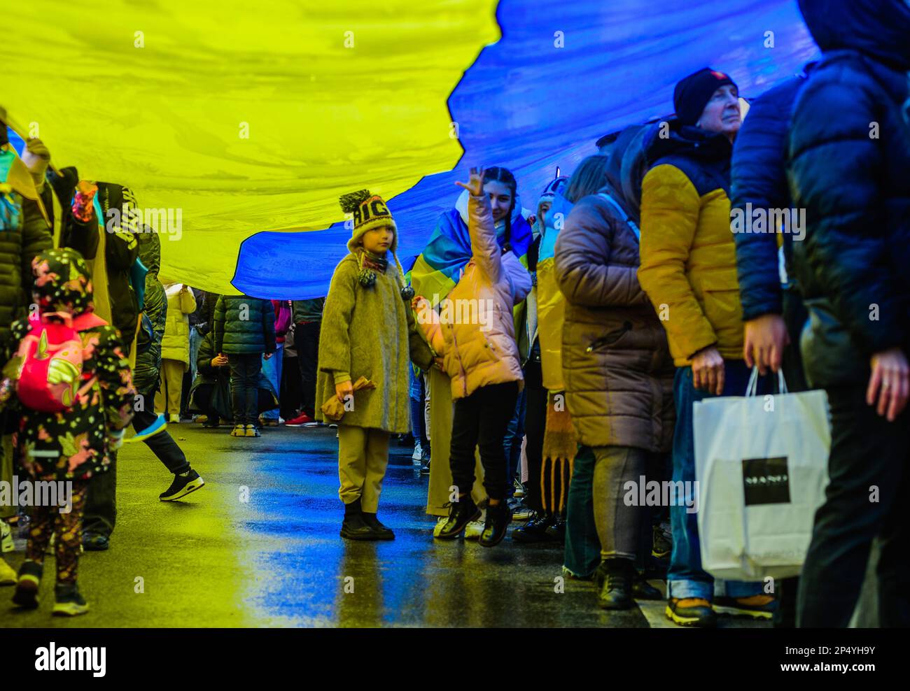 Demonstration against Putin and the war in ukraine in Brussels Banner ...