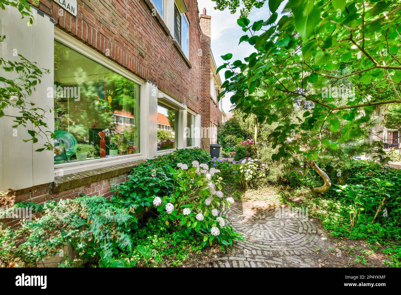 an outside area with plants and flowers in the fore - windowed corner ...