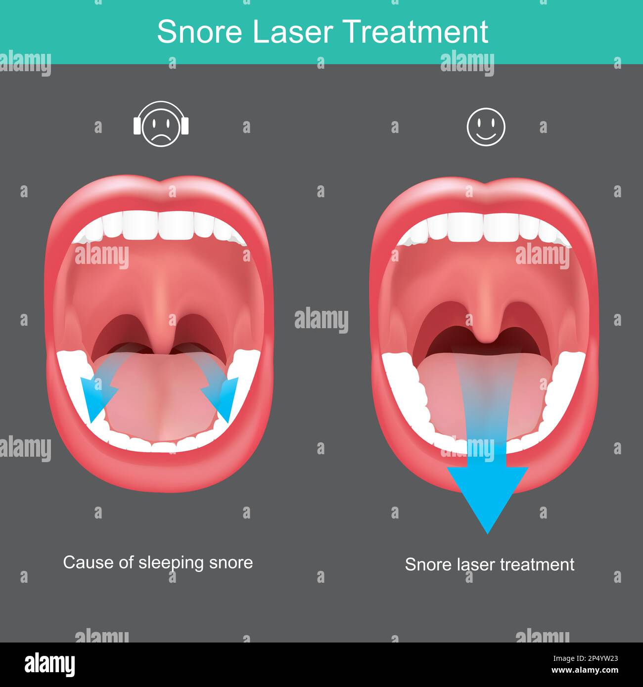 Oral structures Stock Vector Images - Alamy