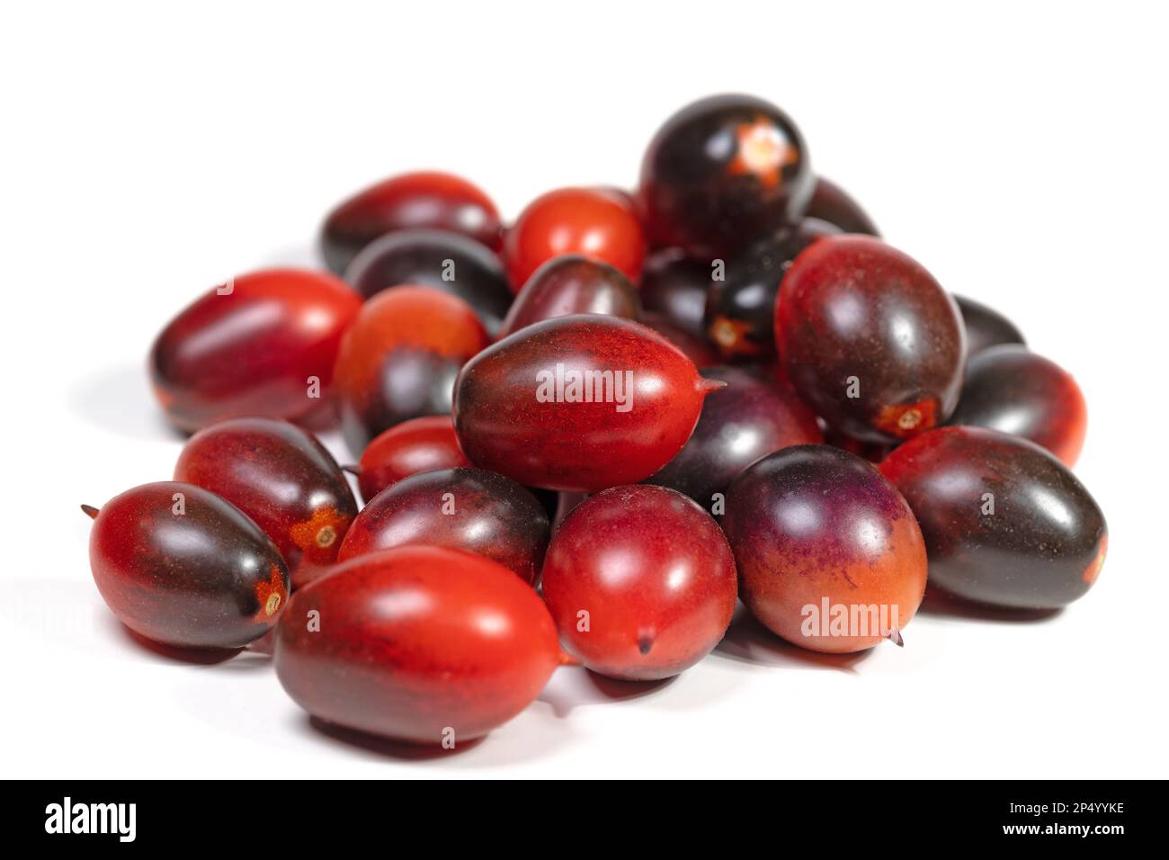 Red mini plum tomatoes hi-res stock photography and images - Alamy