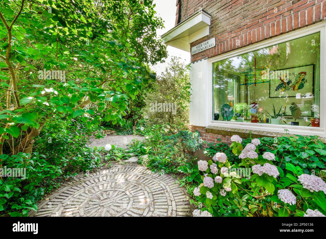a garden with flowers and plants in the fore - image is taken from ...