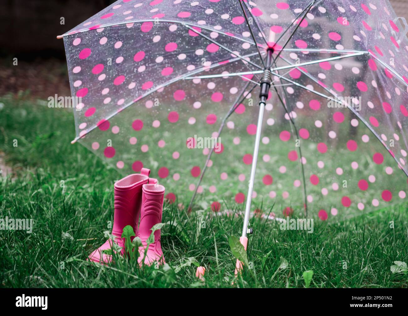 Messy spring hi-res stock photography and images - Alamy