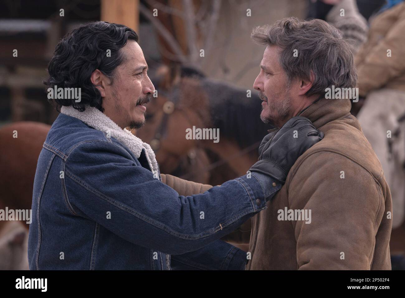 The last of us gabriel luna hi-res stock photography and images - Alamy