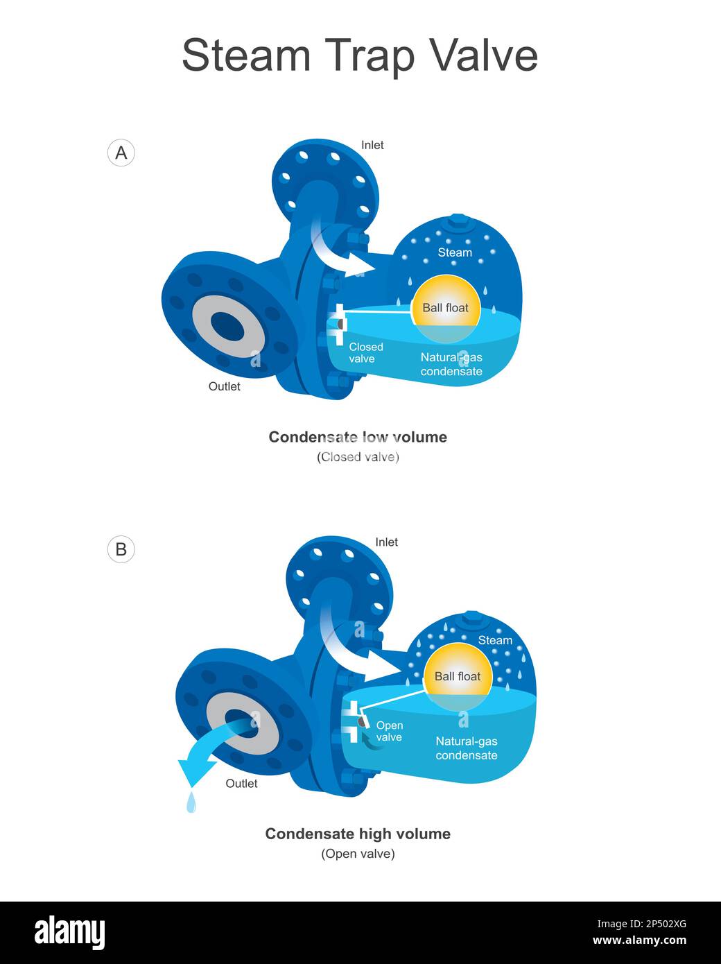 Steam Trap Valve. A steam trap is an automatic valve designed to ...