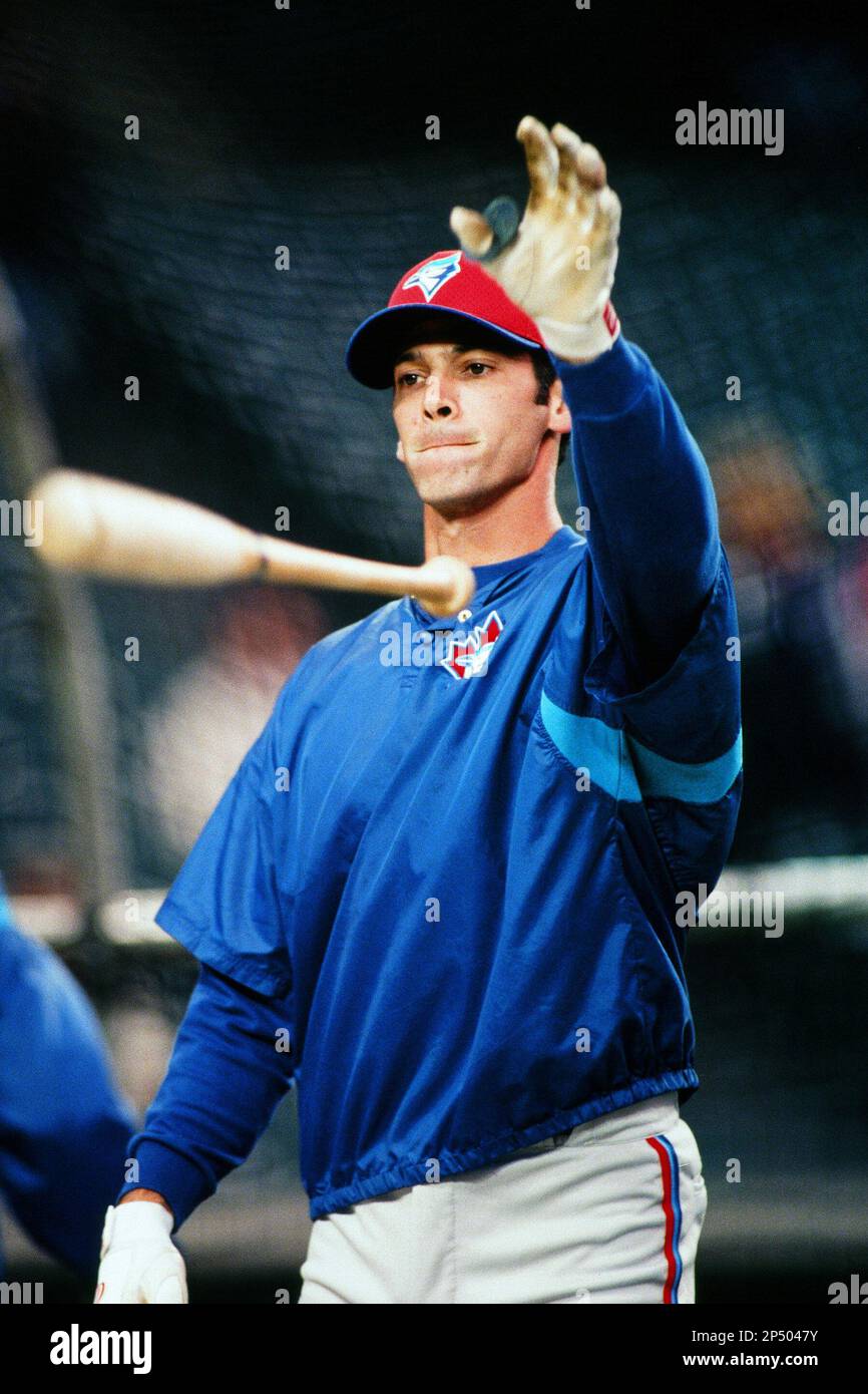 Shawn Green Blue Jays
