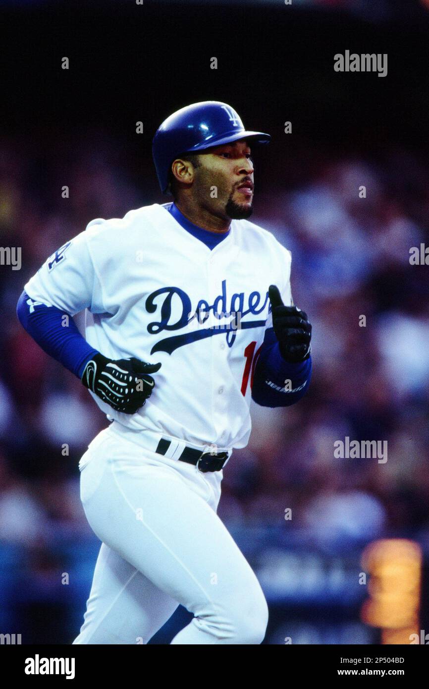 Gary Sheffield of the Los Angeles Dodgers during a game at Dodger ...