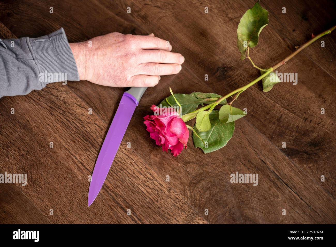 hand holding rose murder romance scene with knife on wooden floor Stock ...