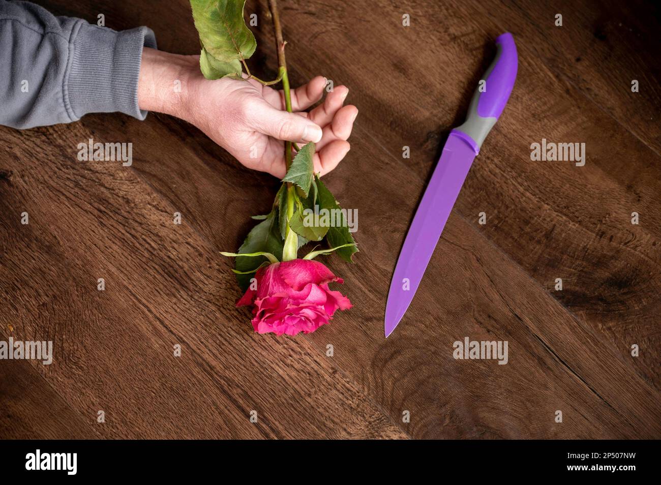 hand holding rose murder romance scene with knife on wooden floor Stock ...