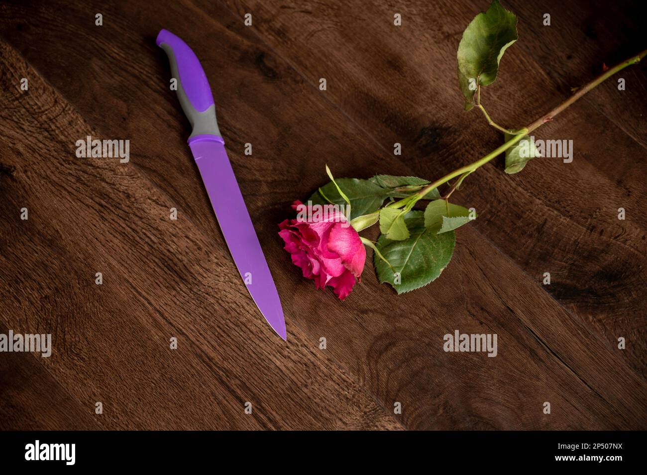 Rose on floor hi-res stock photography and images - Alamy