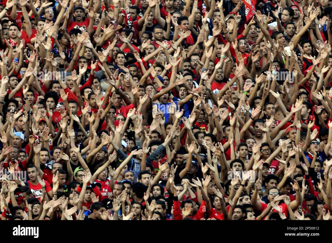 Egyptian club Al Ahly fans cheer during the African Champions League ...