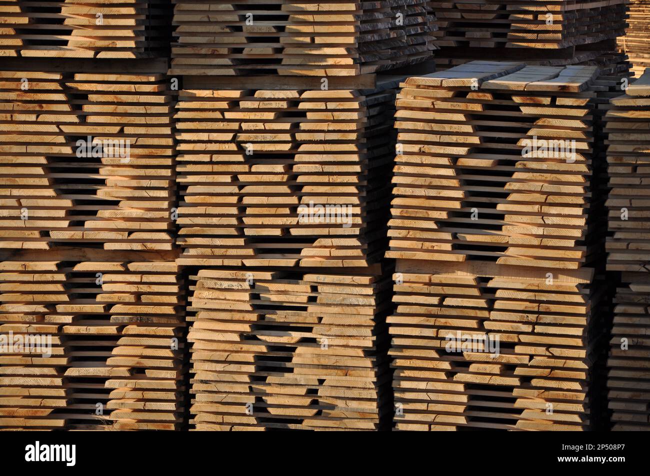 Wood factory stock and lumber board with nature business export. Stack ...