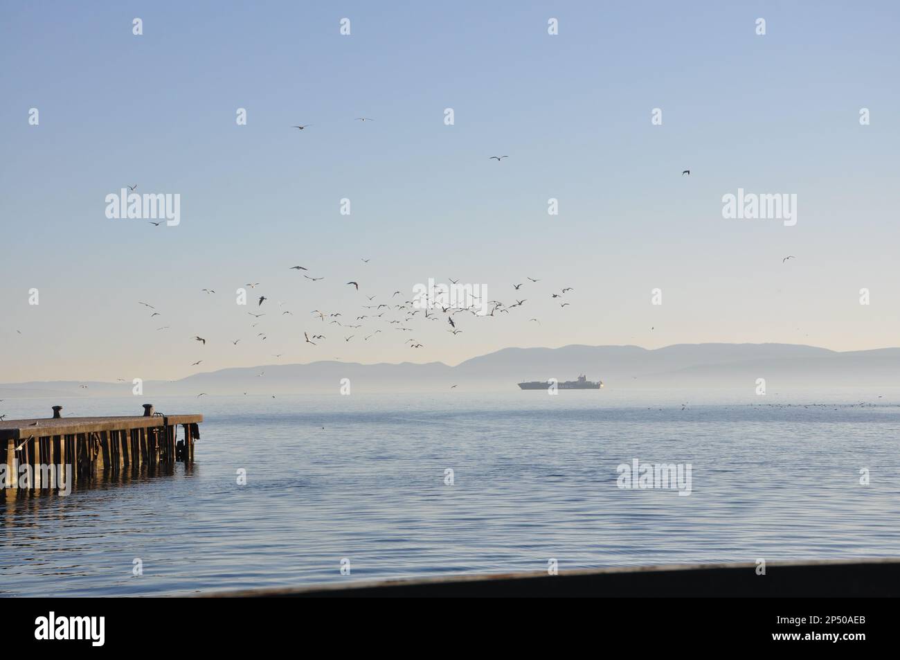 Seagulls flying over water pier hi-res stock photography and images - Alamy