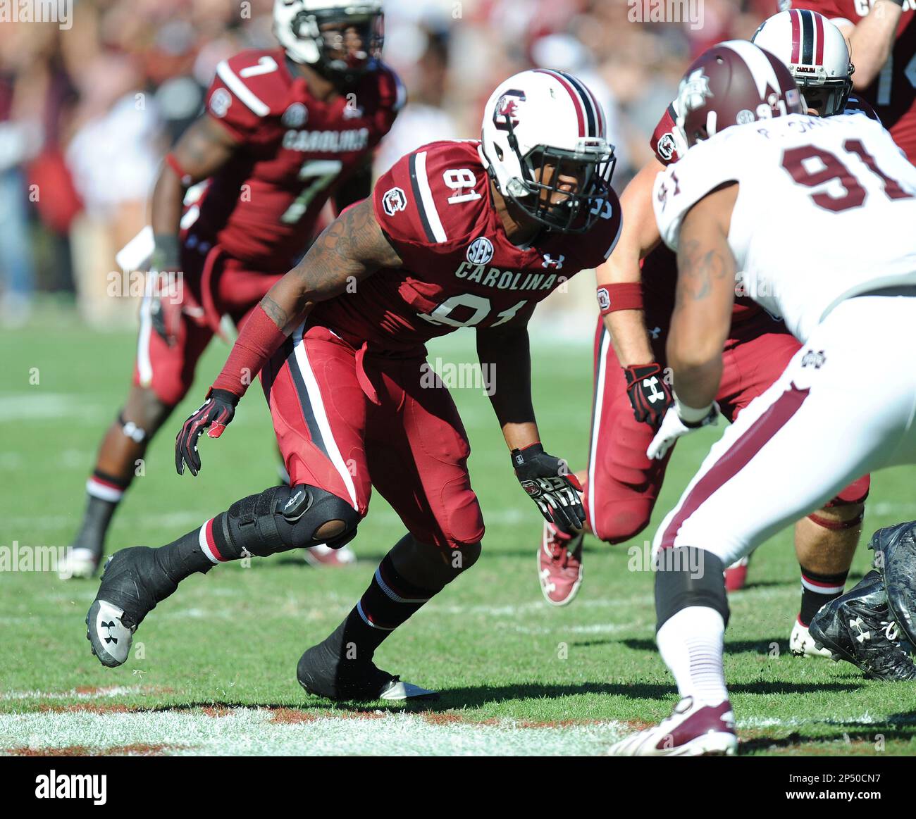 South Carolina Gamecocks Rory Anderson (81) during a game against the ...