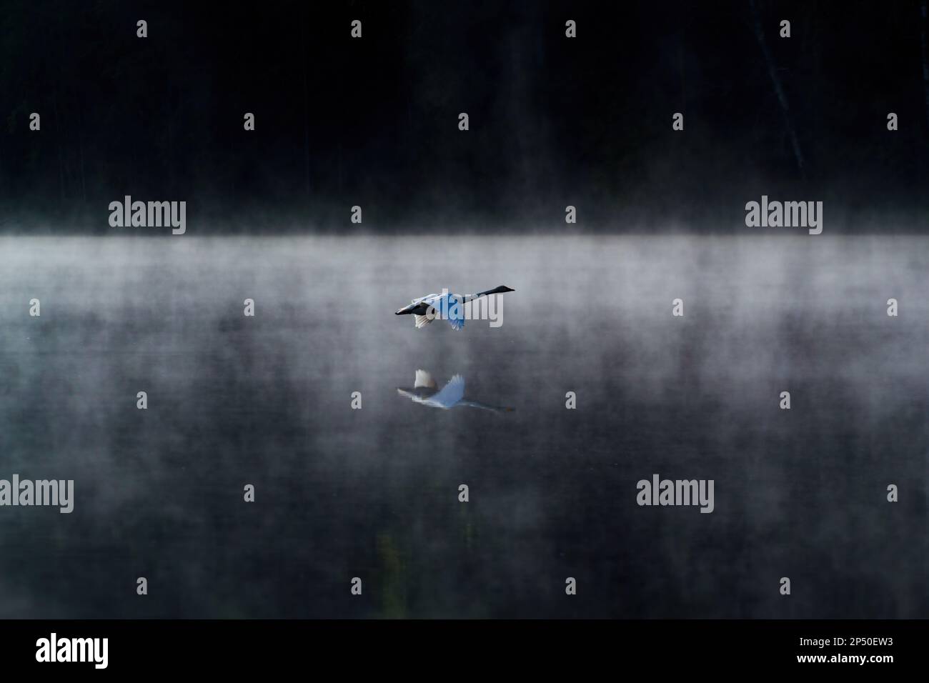 Finlands national landscape hi-res stock photography and images - Alamy