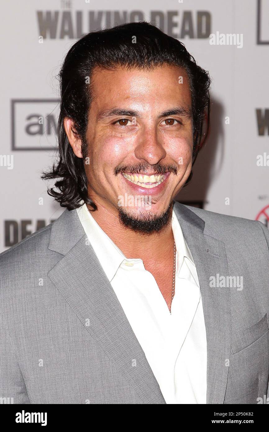 Nick Gomez attends the premiere of AMC's 'The Walking Dead' 3rd Season ...