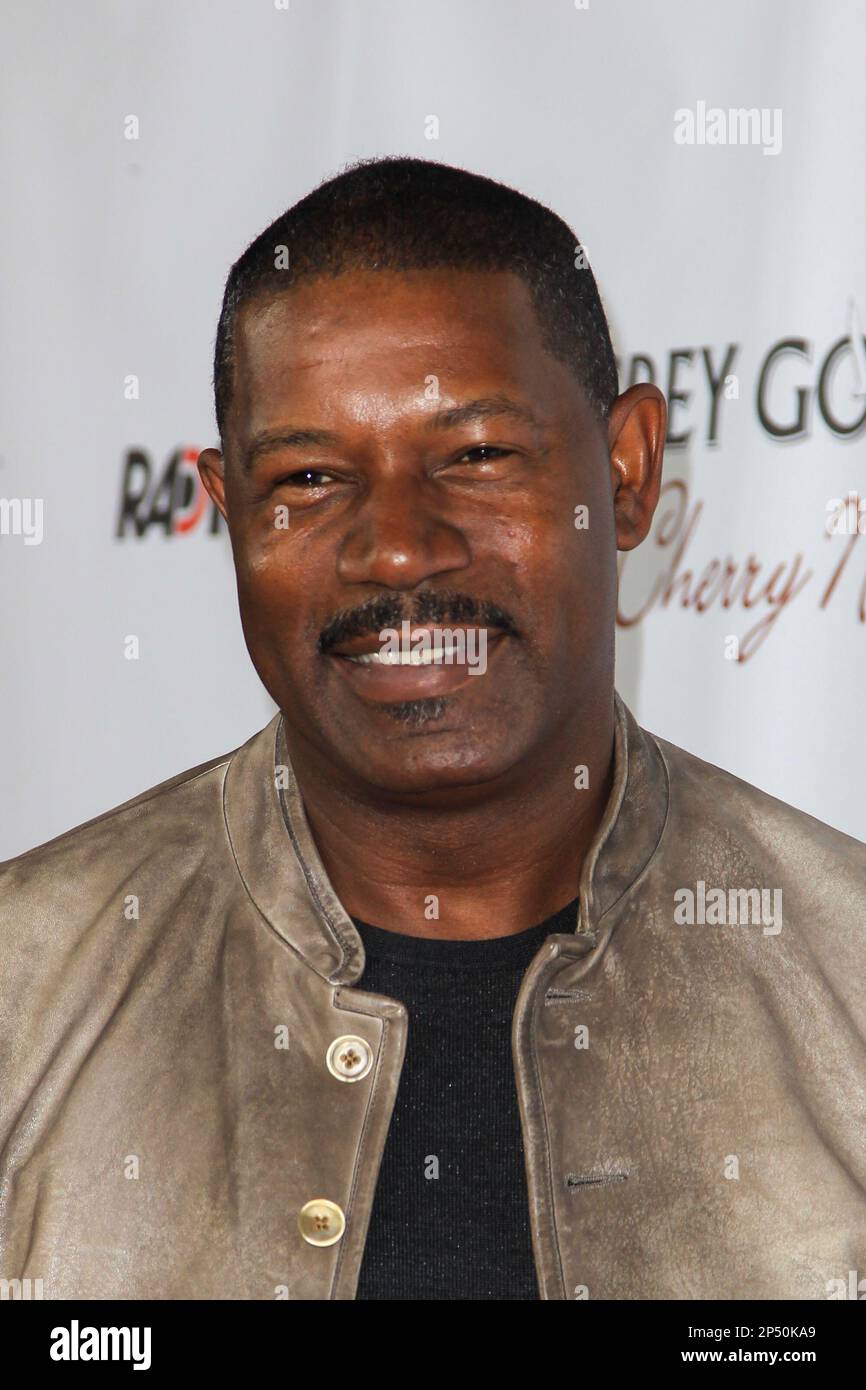 Dennis Haysbert attends The Premiere Of RADiUS-TWC's 'The Details' at ...