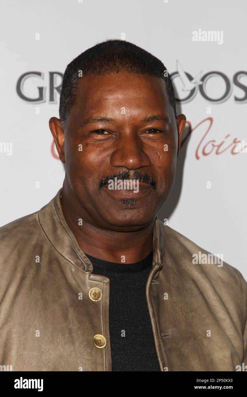 Dennis Haysbert attends The Premiere Of RADiUS-TWC's 'The Details' at ...