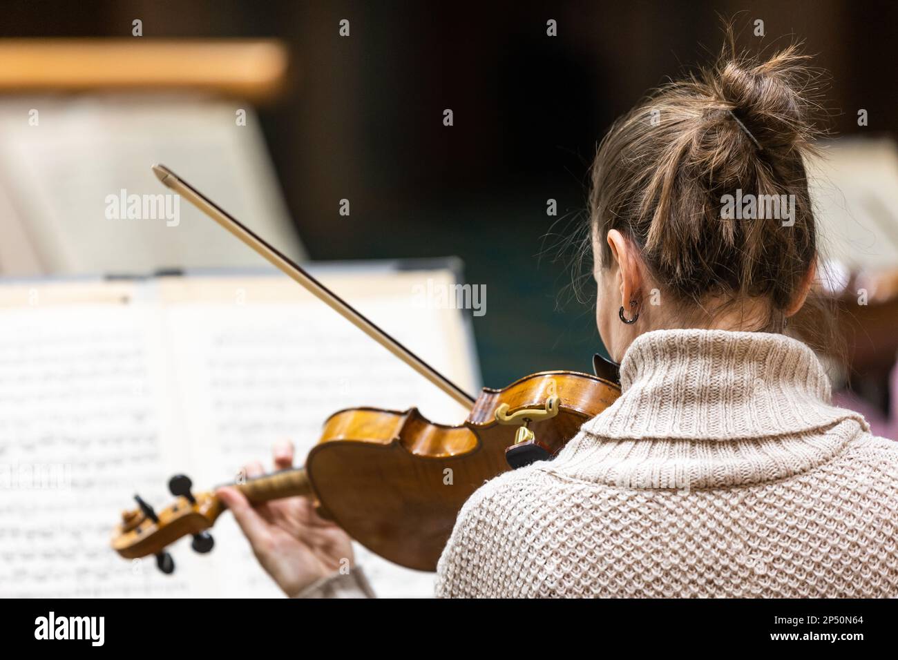 Professional symphonic string orchestra performing on stage and playing ...