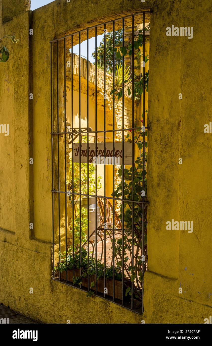 Barred window looking into courtyard of antique shop in Colonia del ...