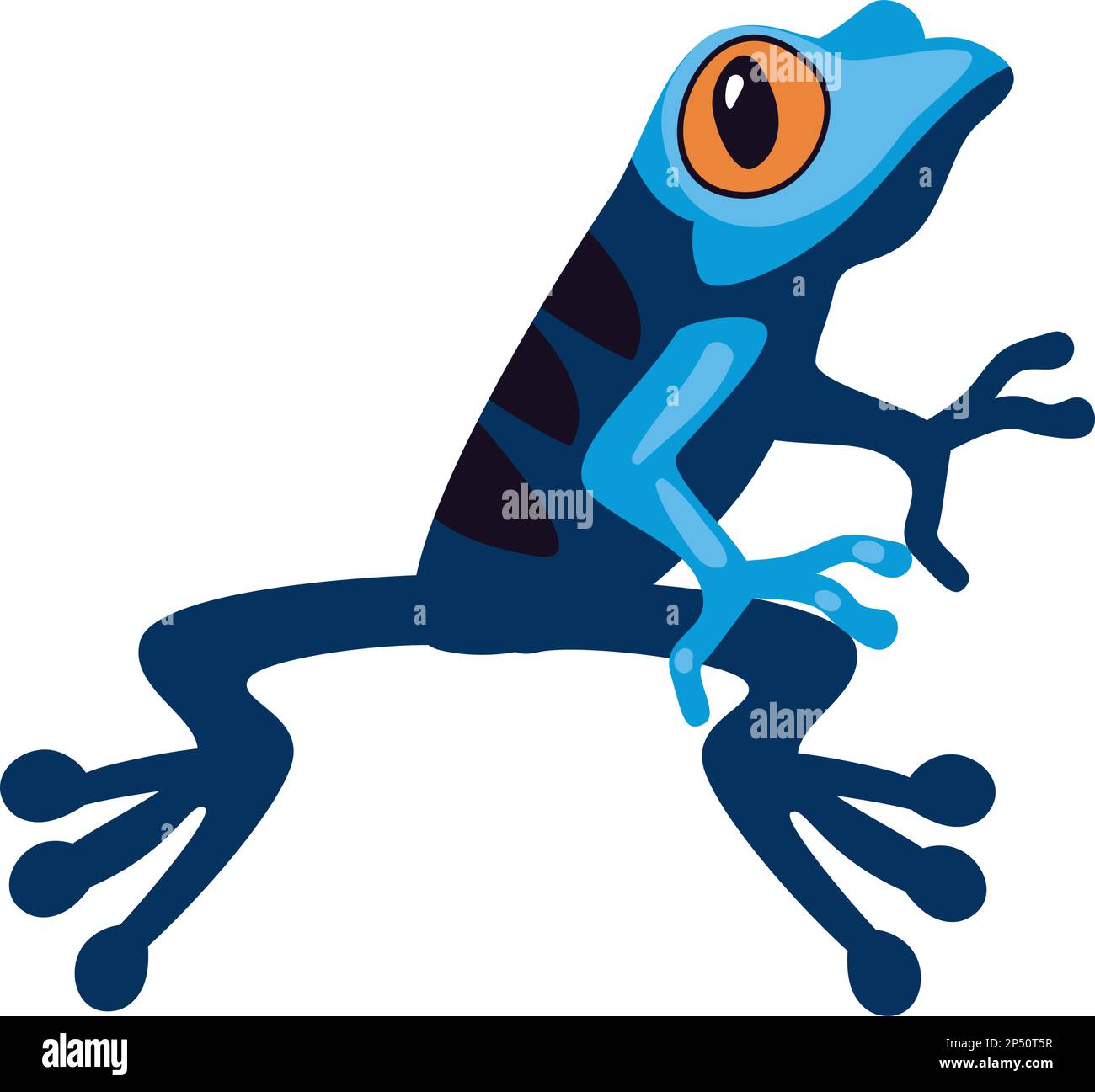 flat blue toad Stock Vector Image & Art - Alamy