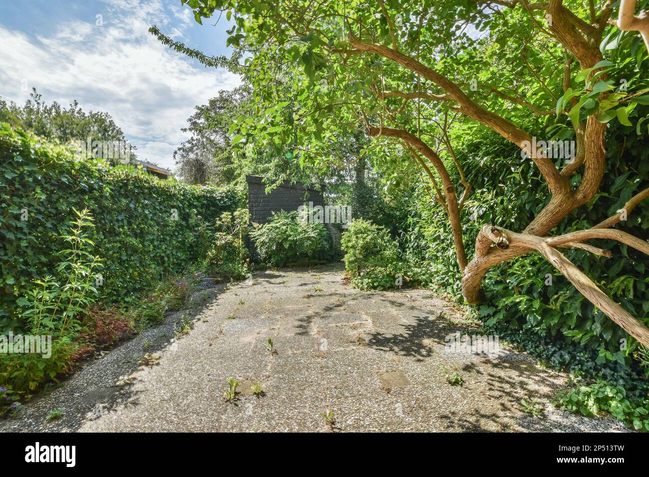 an outdoor area with trees, bushes and graveled path leading up to the ...