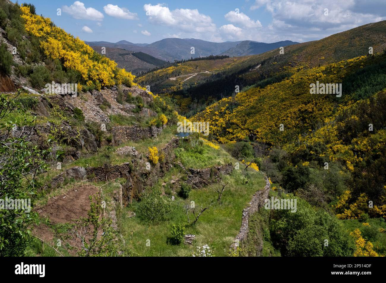 The beautiful mountain range and the scenic view at the eco-village of ...