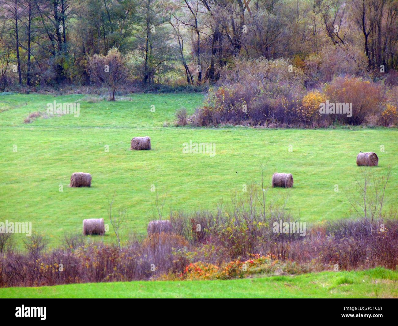 landscape in autumn in Maramures county Stock Photo - Alamy