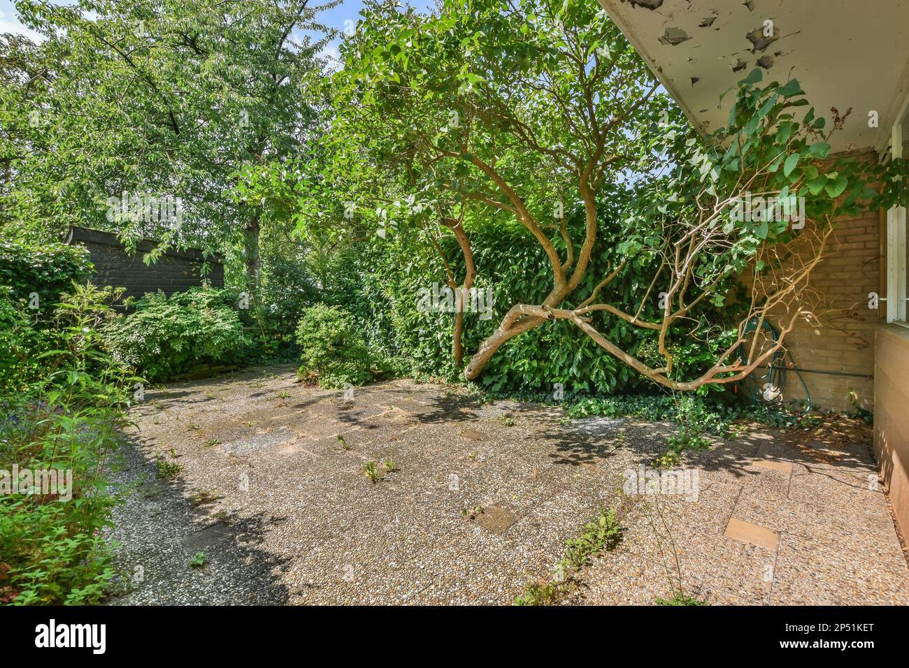 an outside area with trees and bushes in the fore - image is taken from ...