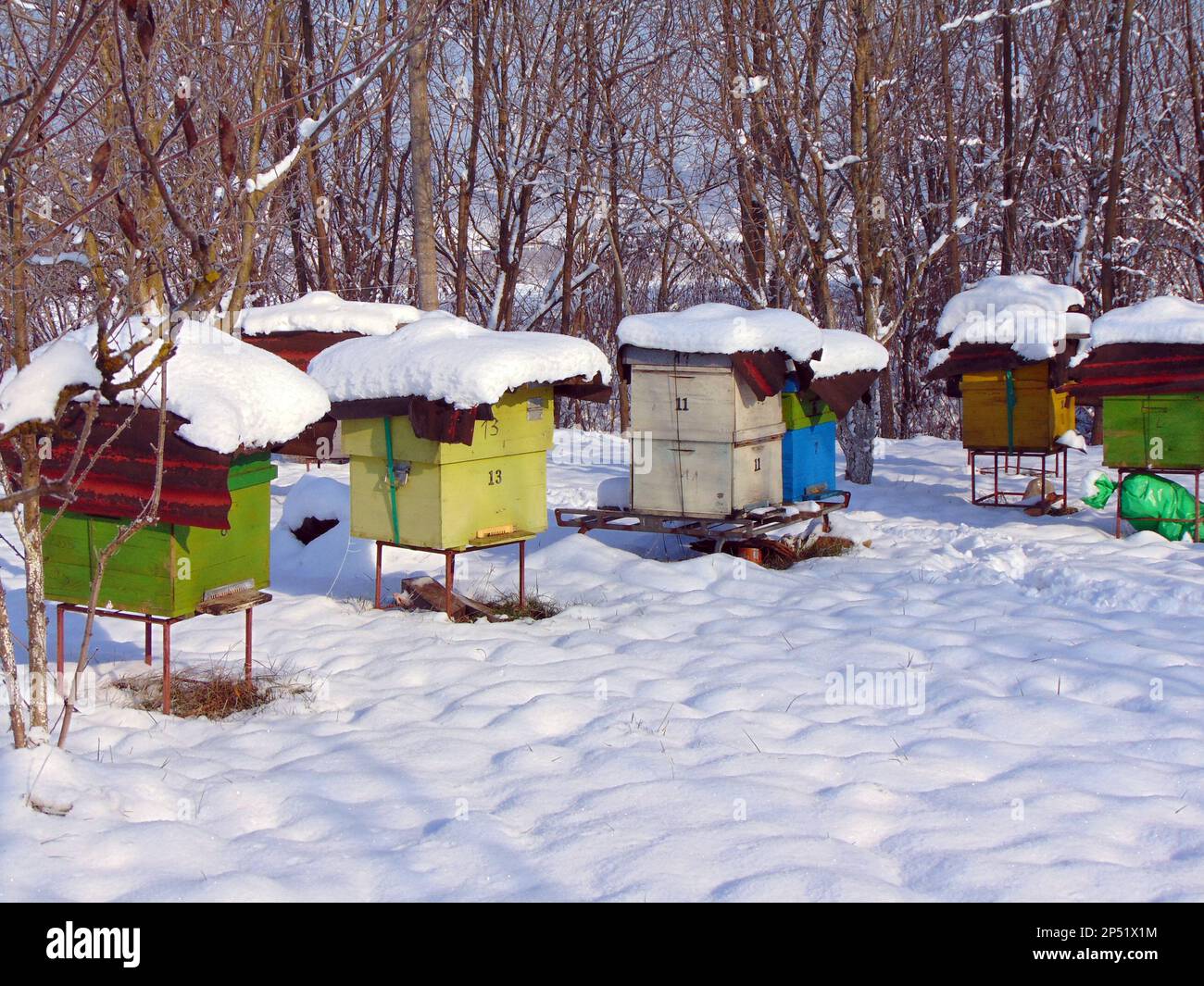 bee hives in the winter Stock Photo - Alamy