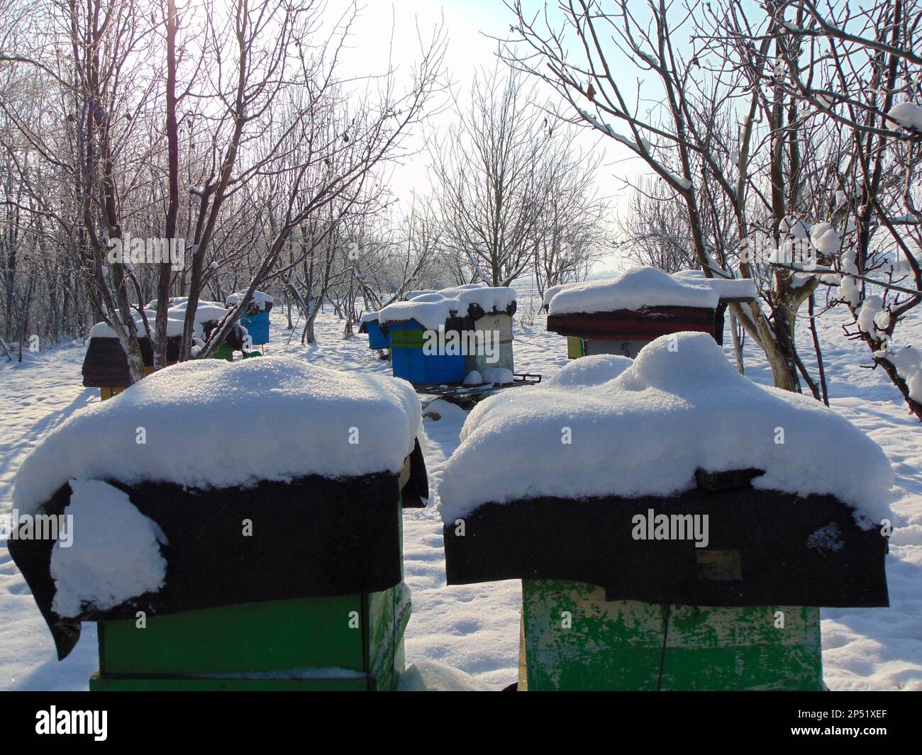 bee hives in the winter Stock Photo - Alamy