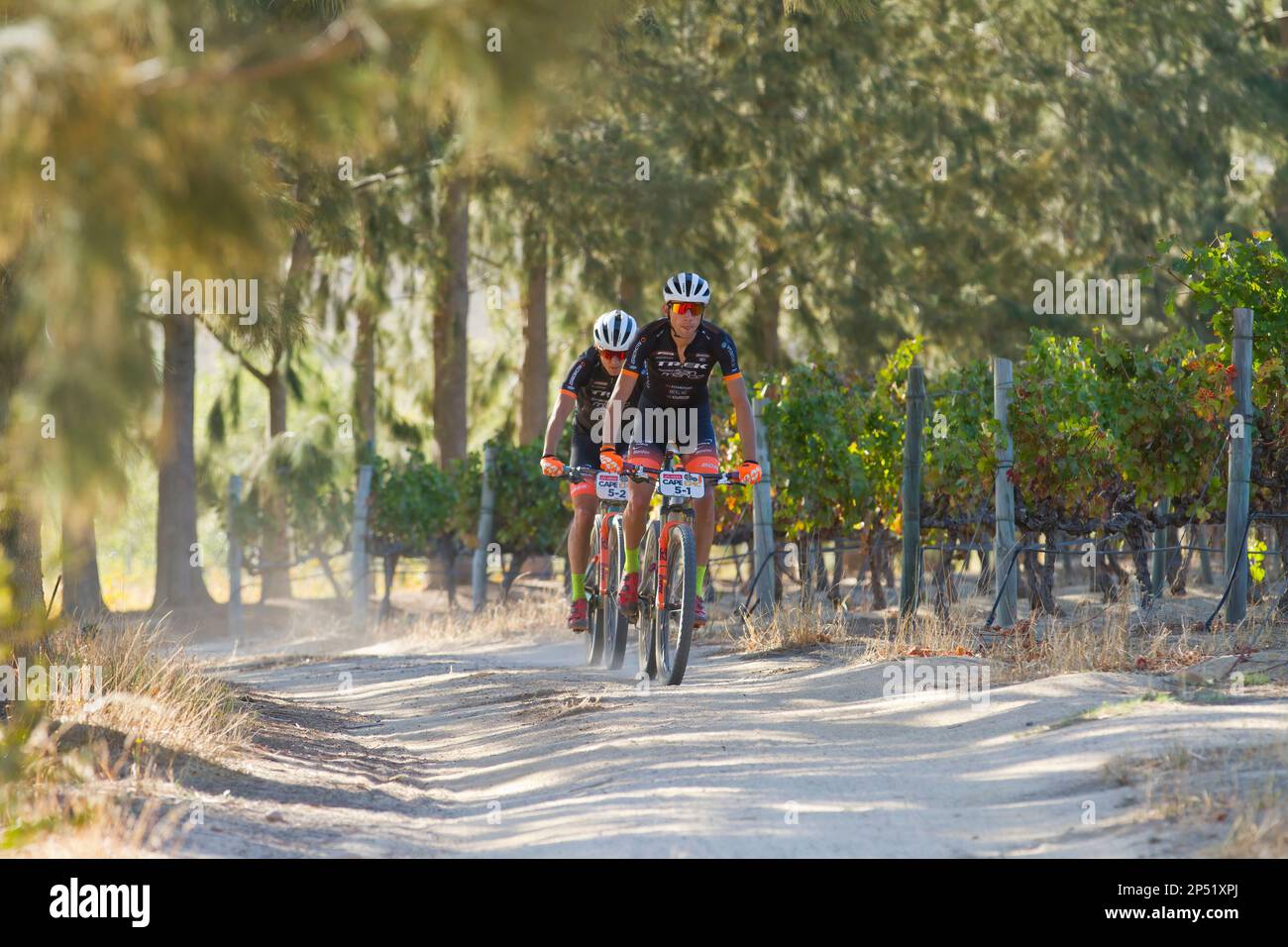 Mountain biking at the ABSA Cape Epic Stock Photo - Alamy