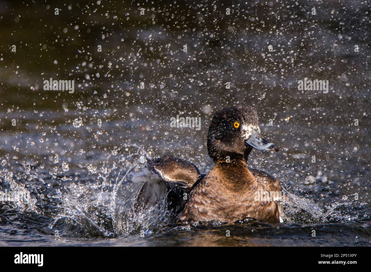 Fright lake hi-res stock photography and images - Alamy