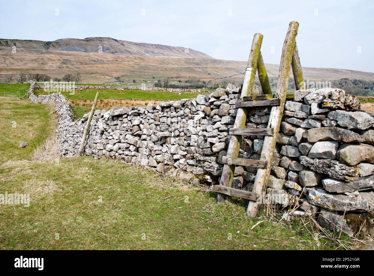 An A-frame type ladder stile straddles a drystone wall below Whernside ...