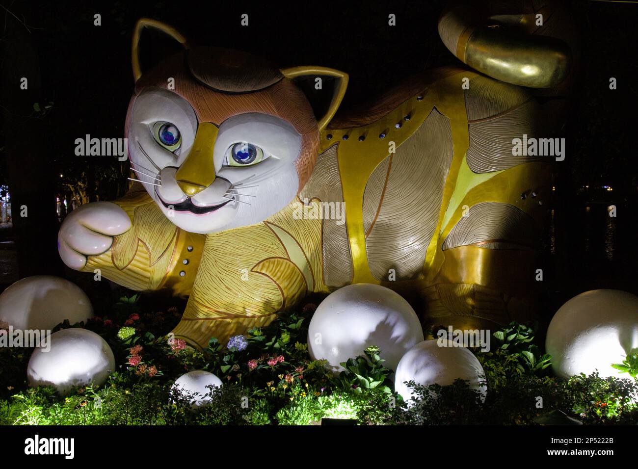 Vietnam, Hanoi, Tet, Lunar New Year, year of the cat Stock Photo - Alamy