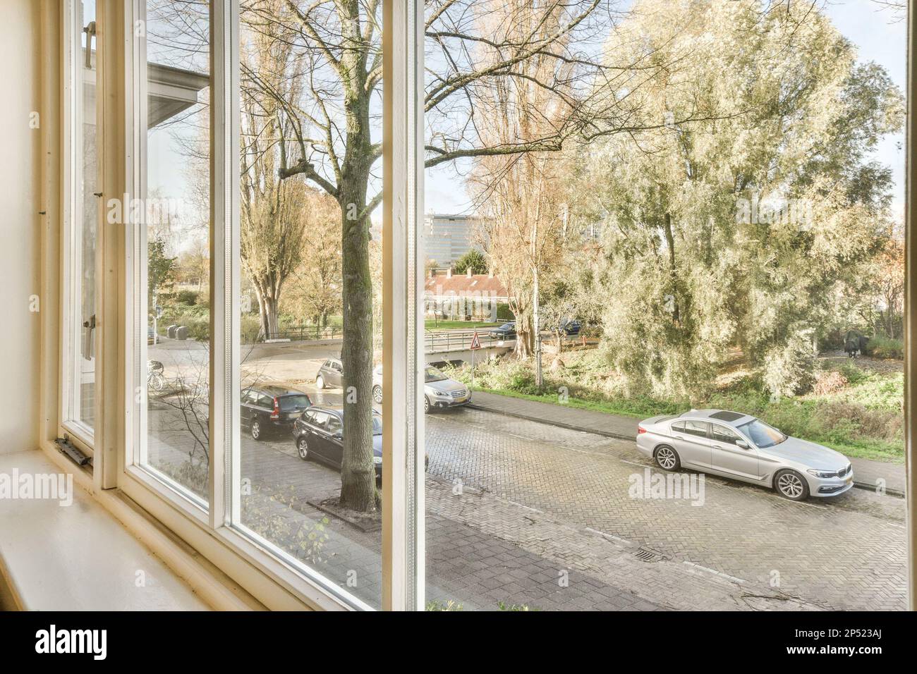 an outside area with cars parked in the street and trees on either side ...