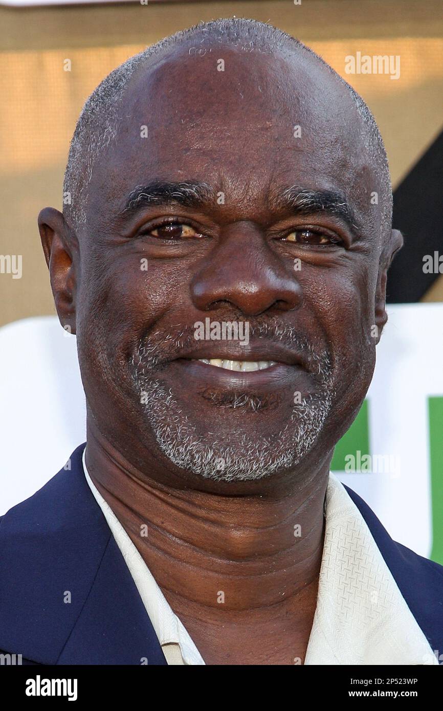 Actor Glynn Turman attends the CW, CBS and Showtime 2013 summer TCA ...