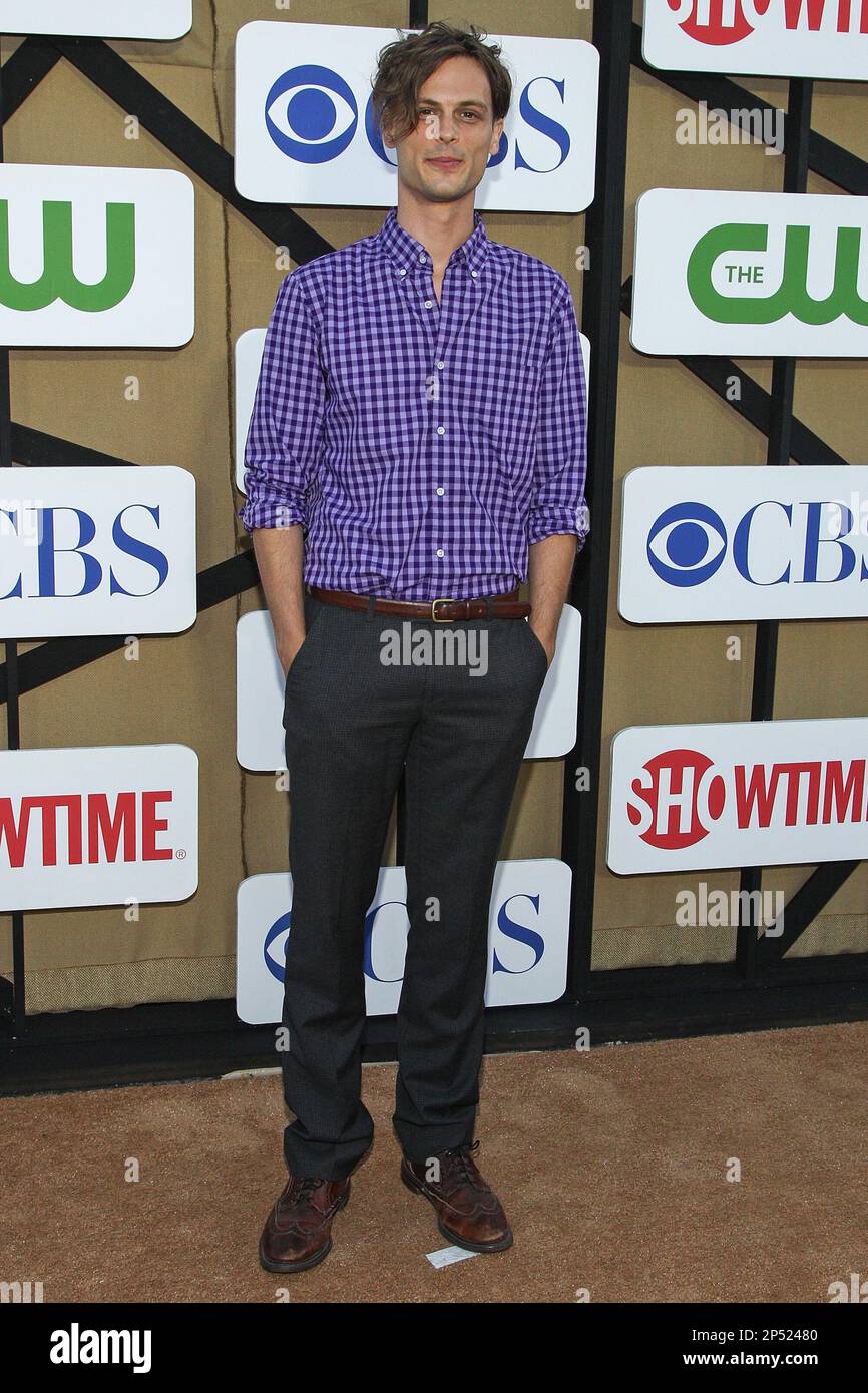 Actor Matthew Gray Gubler attends the CW, CBS and Showtime 2013 summer ...