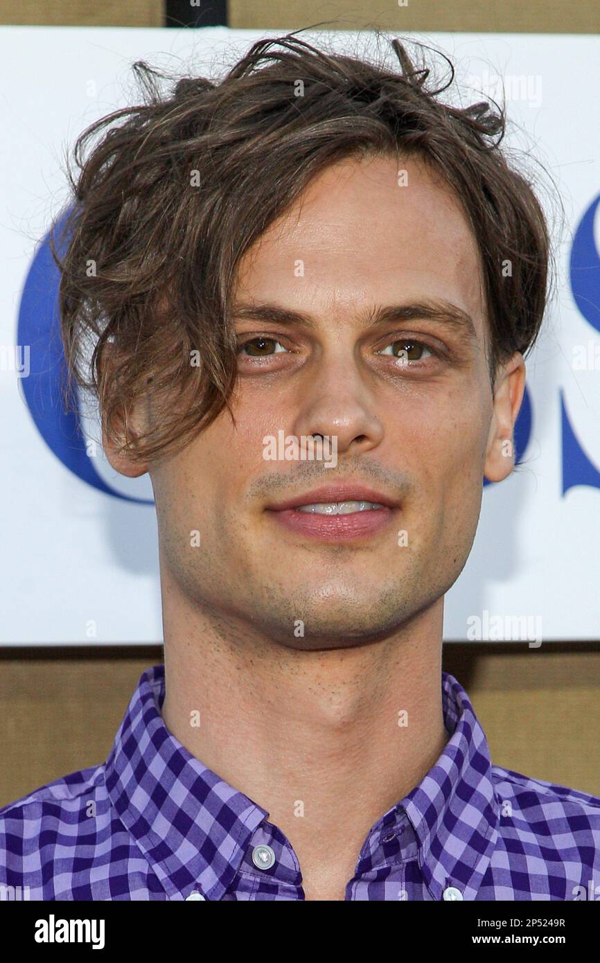 Actor Matthew Gray Gubler attends the CW, CBS and Showtime 2013 summer ...