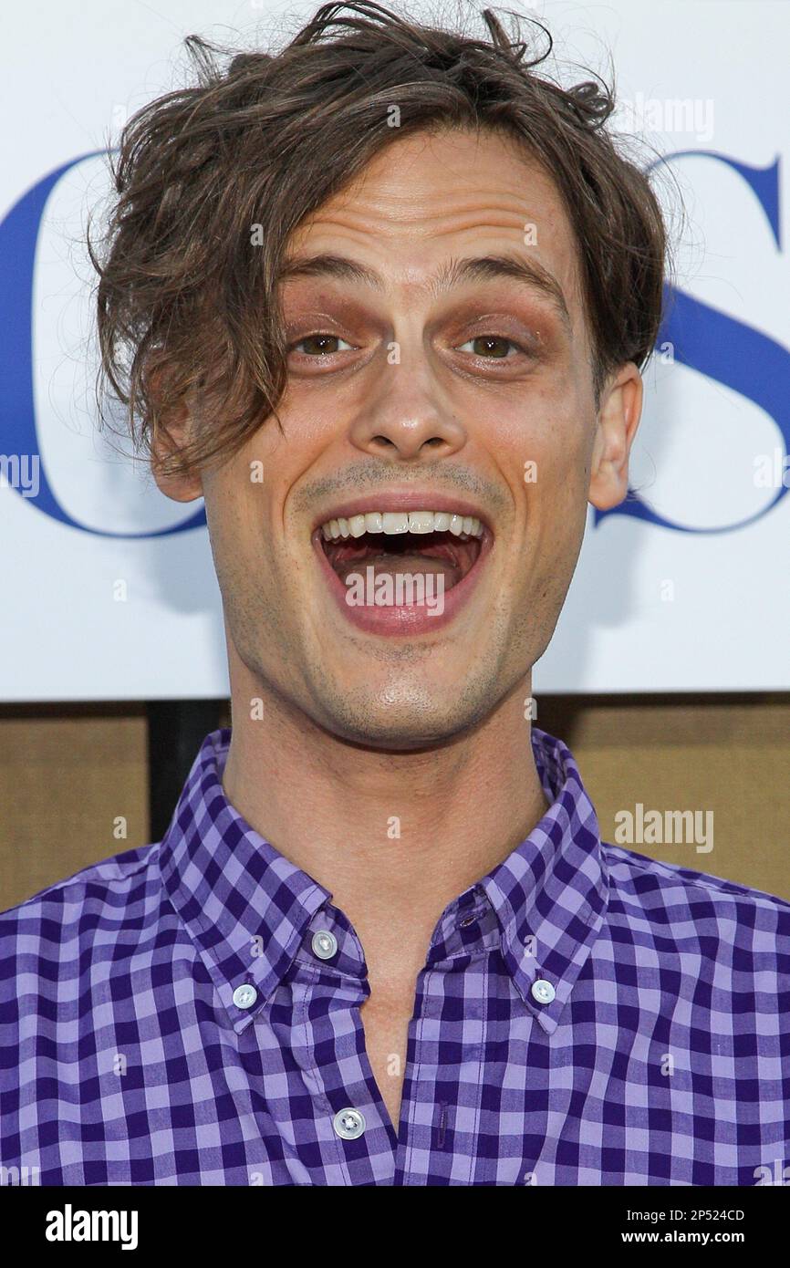 Actor Matthew Gray Gubler attends the CW, CBS and Showtime 2013 summer ...