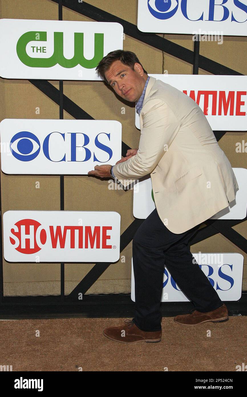 Actor Michael Weatherly attends the CW, CBS and Showtime 2013 summer ...