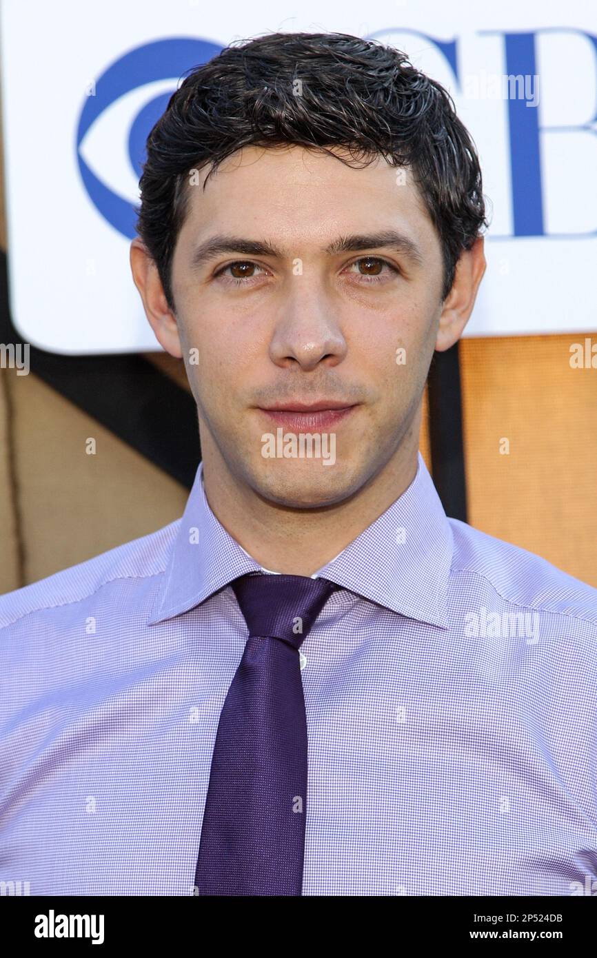 Actor Rady Michael attends the CW, CBS and Showtime 2013 summer TCA ...
