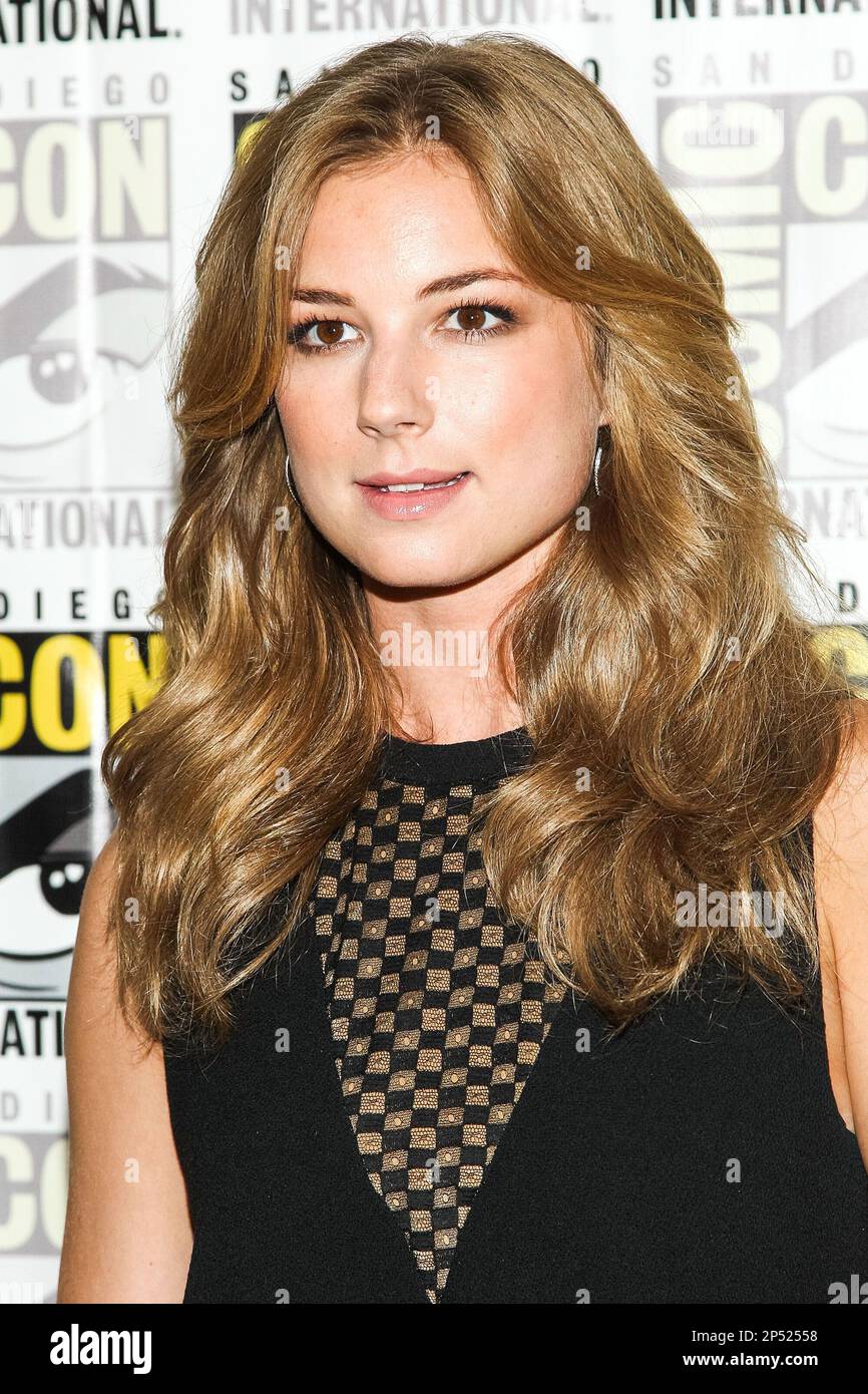 Emily Vancamp Natural Hair Color